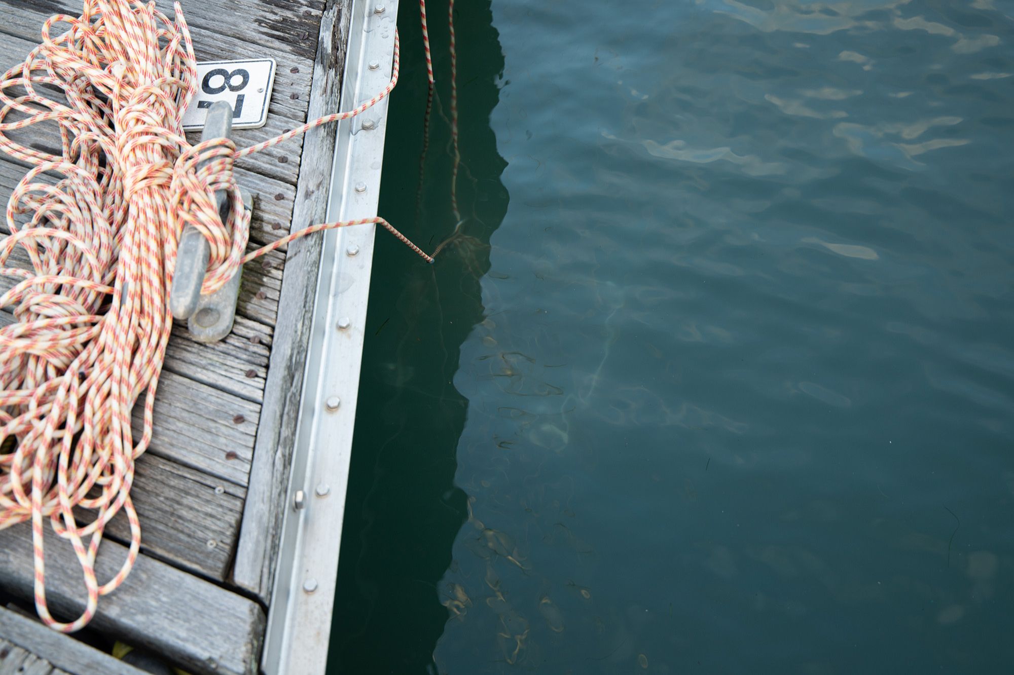 The NCCA tests new plankton imaging tech – see the plankton photos it ...